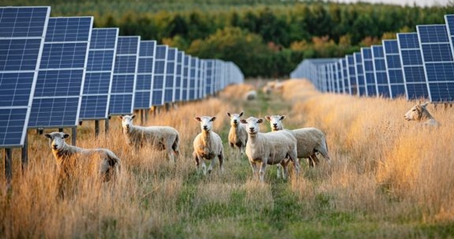 Faerch Group og Better Energy indgår 10-årig PPA Faerch Group og Better Energy indgår 10-årig PPA